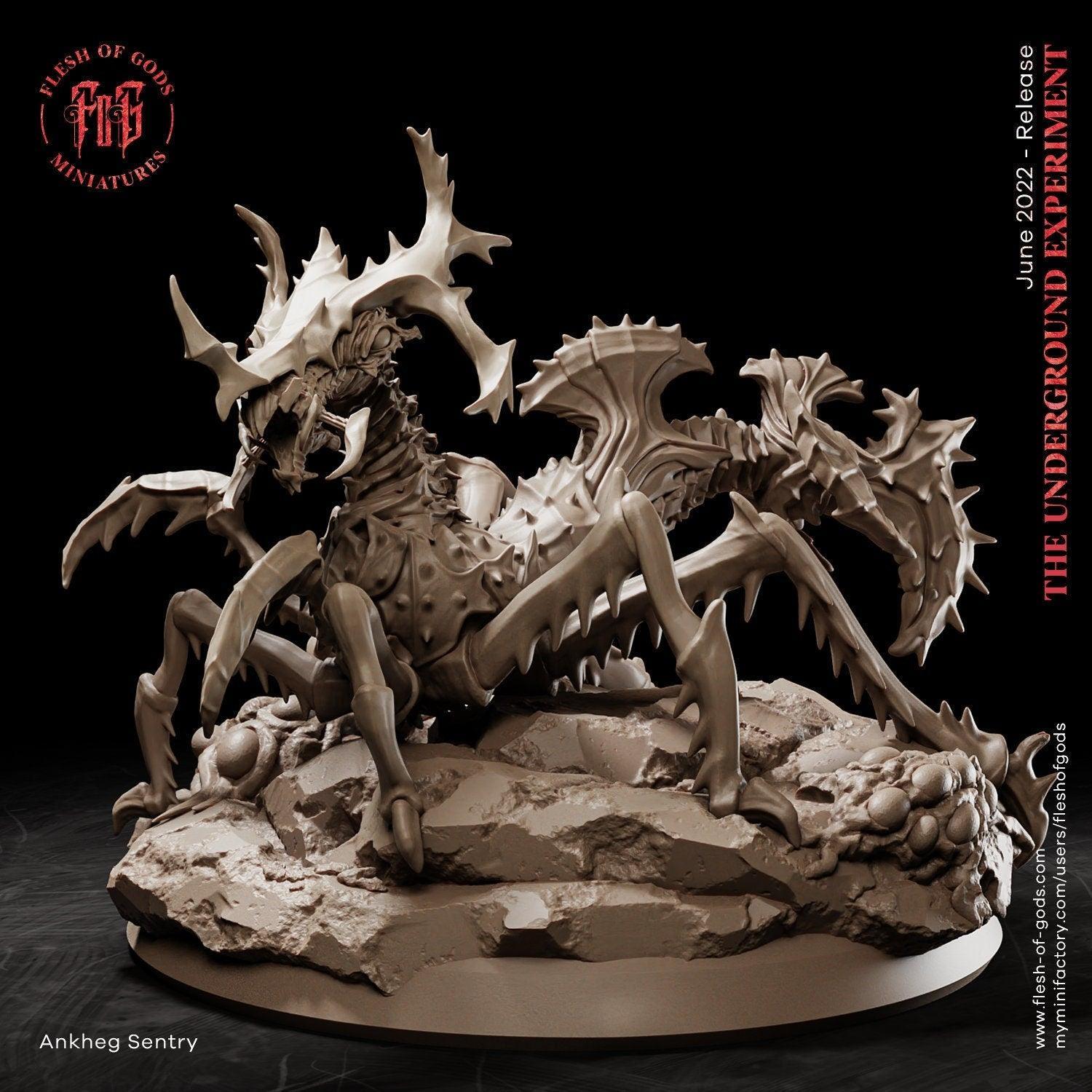 Ankheg Sentry Miniature | Enormous Spider Guardian for DnD Realms | 50 ...